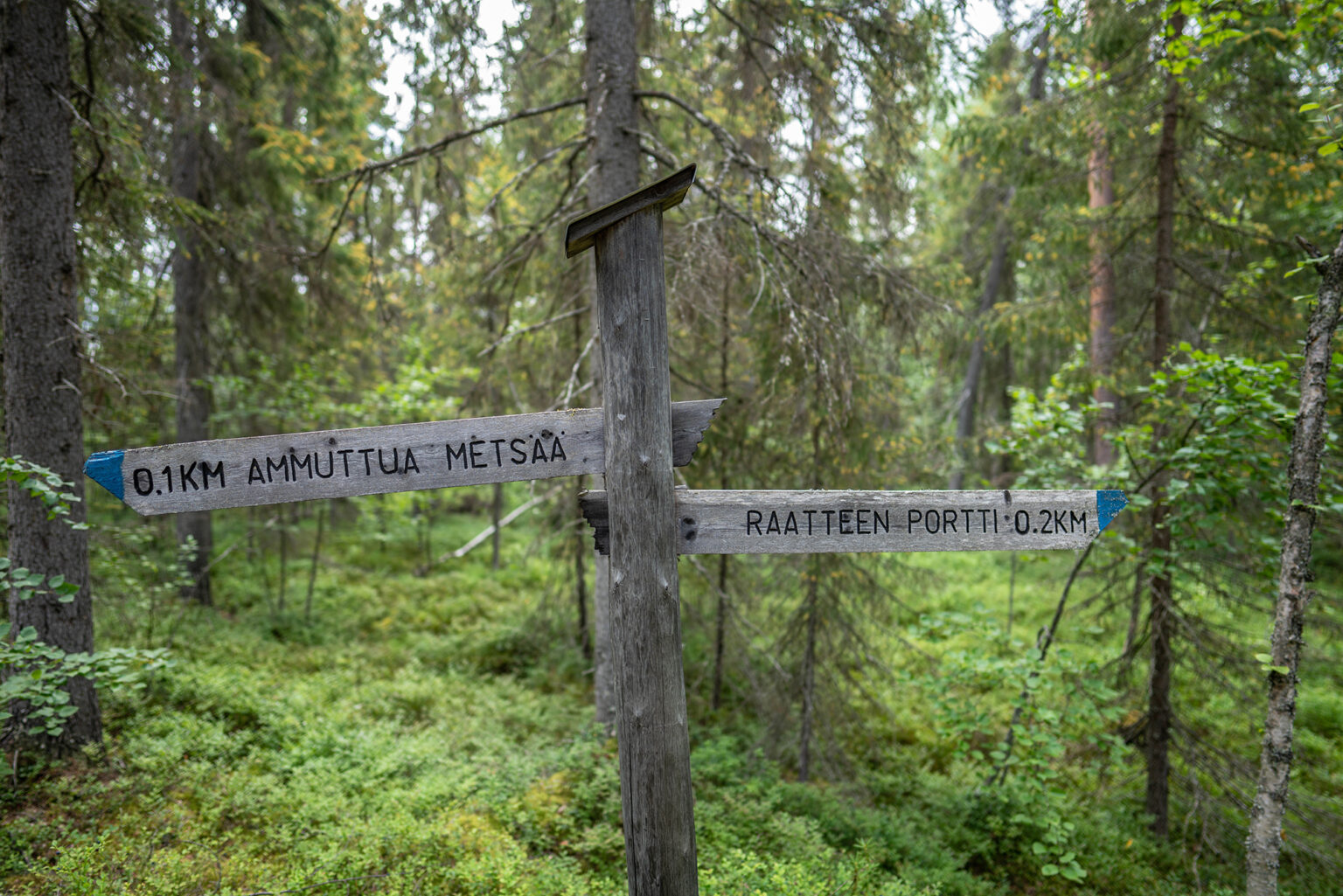 Raatteen Portti | Raatteen Portti